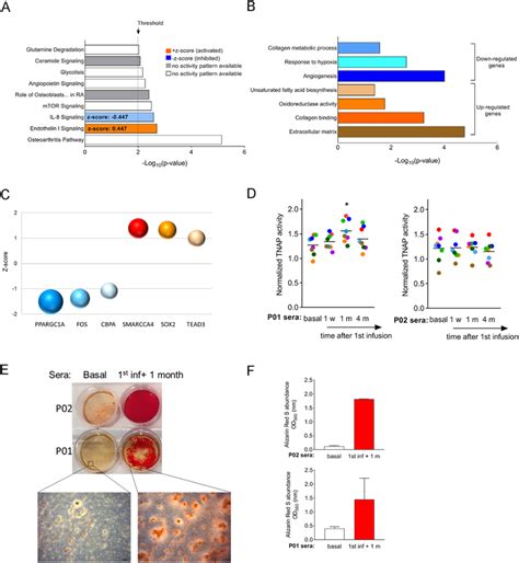 Assessment Of The Pro‐osteogenic Potential Of Sera From Terceloi