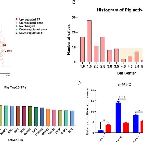 Expression Patterns Of Transcription Factors In Porcine Embryos During