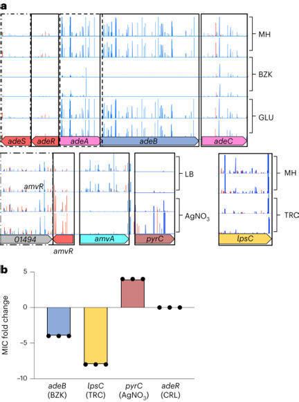 Systematic Analyses Identify Modes Of Action Of