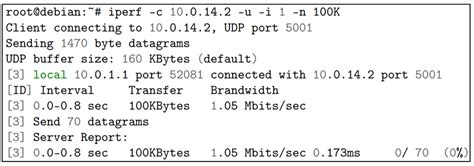 screenshot of iperf command running on the ipv4 client download