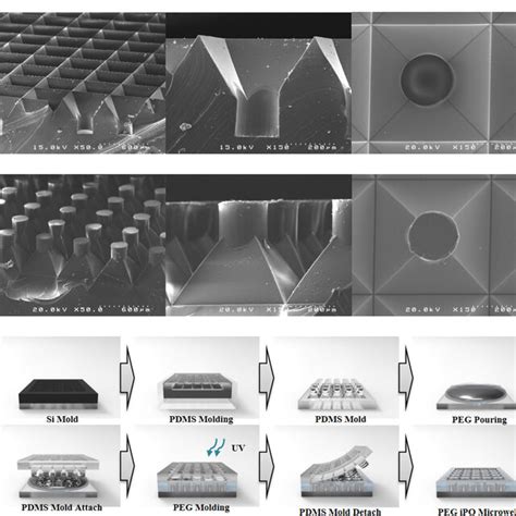 Fabrication Of Si And Pdms Molds And Soft Lithography Process A B