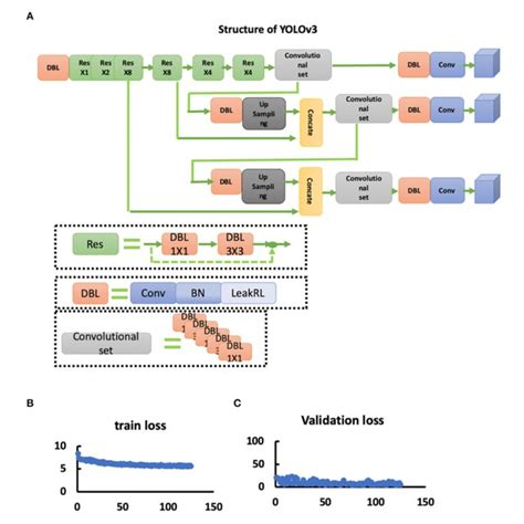 Attention Unet A Architecture Of Attention Unet B Train Loss Download Scientific