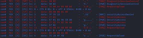 Interacting With UDS RAMN Documentation