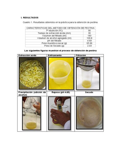 Extracción De Pectina De Cáscara De Naranja Pdf Filtración Naranja