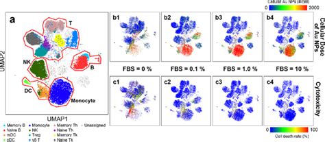 Immune Cell Profiling Of Human Pbmcs Cultured With Different