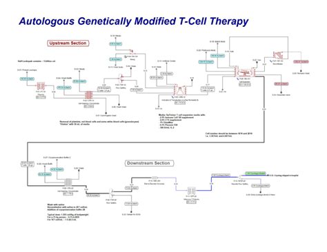 Autologous T Cell Production Process Flowsheet Flow Chart Download