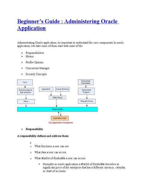 Beginners Guide To Oracle Ebs Pdf Oracle Database Menu Computing