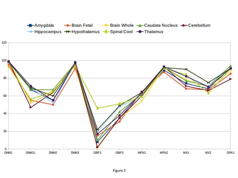 Dynamin Expression Profiling In Representative Components Of Normal Download Scientific Diagram