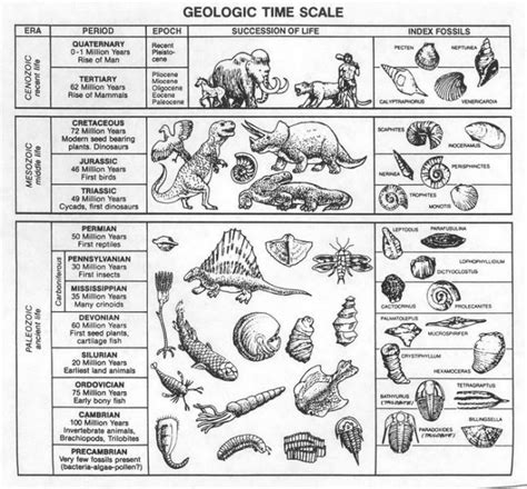 Geologic Column Evolves CEH