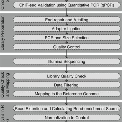 Overview Of The Different Steps Of The Complete Chip Seq Procedure