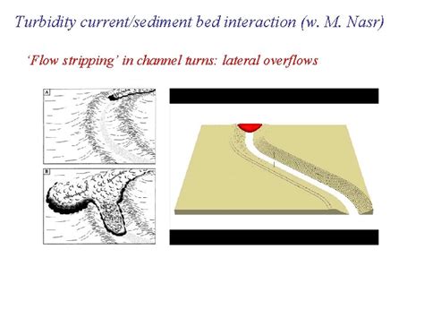 High Resolution Simulations Of Turbidity Currents And River