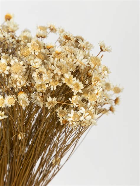 Гліксія натуральна 100 гр купити в Україні за низькою ціною • Dfb Elements