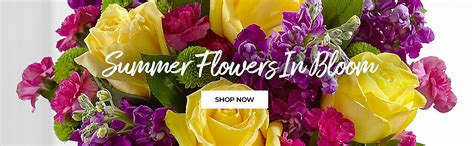 Best Florist In Berkeley Ca Upscale Shop For Exotic Blooms Orchid