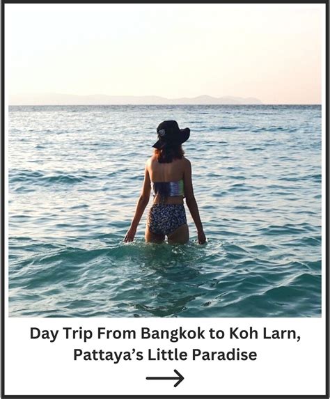 Authentic Thai Basil Stir Fry Pad Krapow Recipe