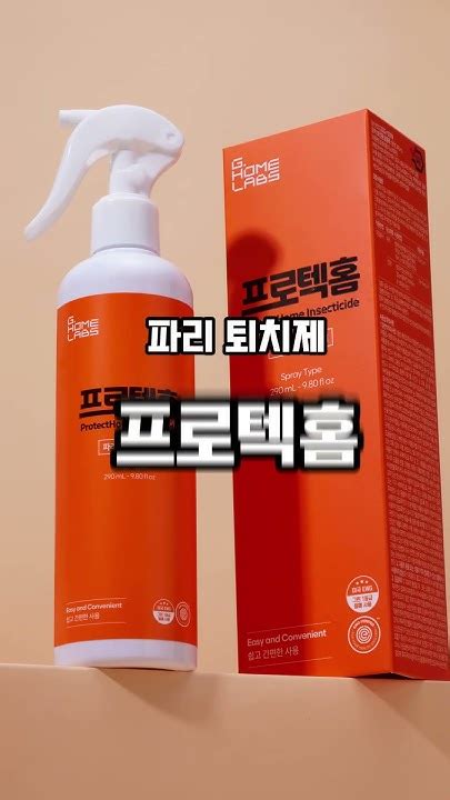 날파리 극혐하는 사람 Youtube