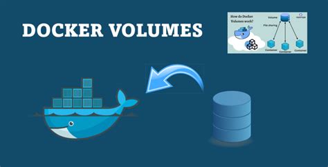 swathi punreddy on linkedin mastering docker volumes efficient data