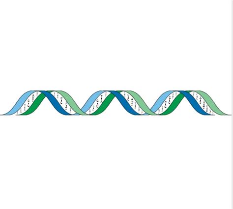 Custom Oligo Synthesis Oligo Syntheis Service Random Primer N6 Buy Gene Synthesis Dna Oligos