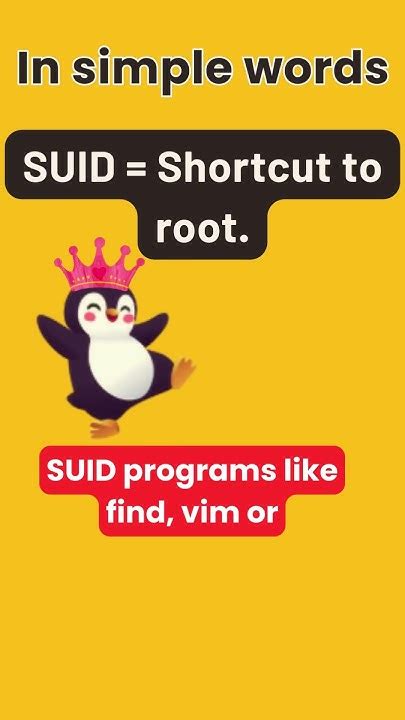 Find Suid Binaries Fast For Privilege Escalation Linux Cybersecurity