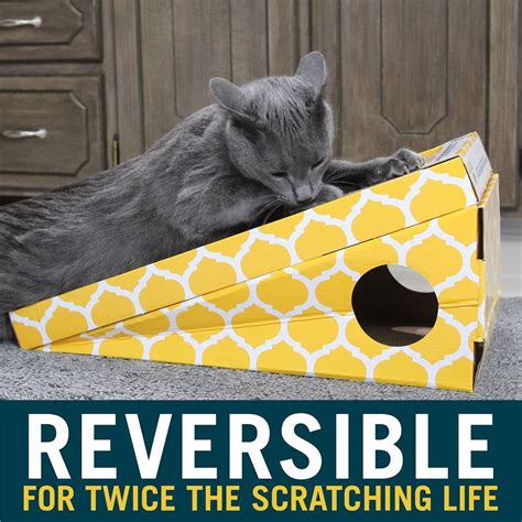 Stop Unwanted Behavior Jackson Galaxy