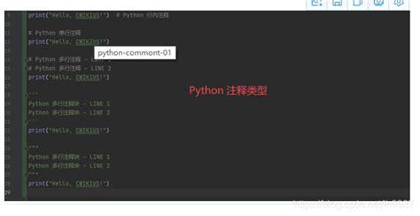 详细介绍一下python 注释 python的注释 csdn博客