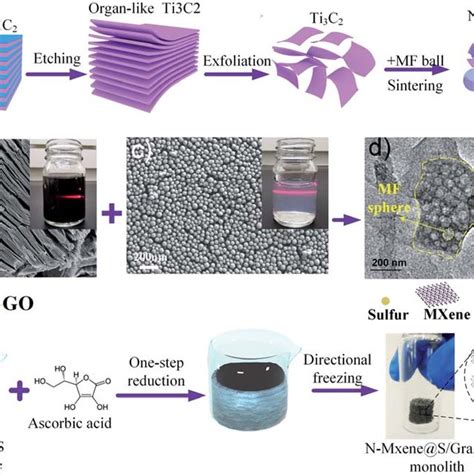 A Schematic Illustration For The Synthesis Of N Ti 3 C 2 T X Mxene Download Scientific