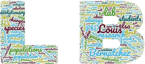 Word Clouds Compiled From The Abstracts A And The Personal Reflection