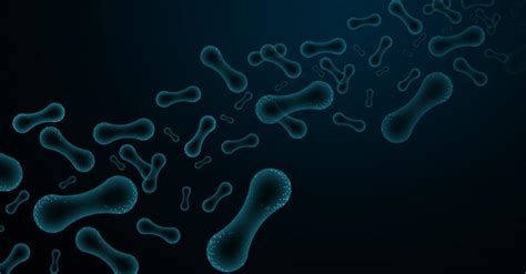 Microbiome Connect 2023