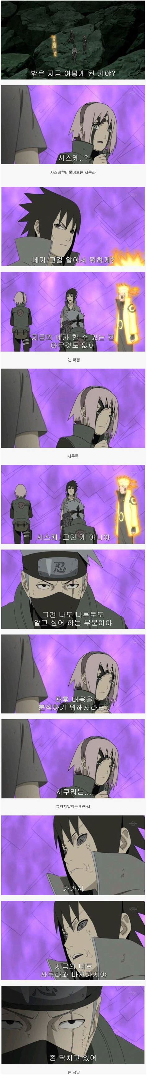 는 사스케  인스티즈 Instiz 이슈 카테고리