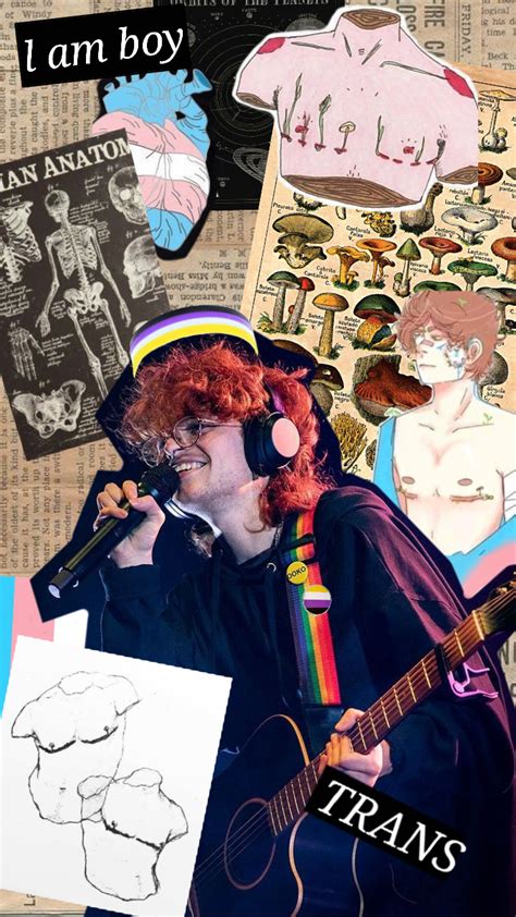 ¿ Wallpaper Transmasc Papeis De Parede