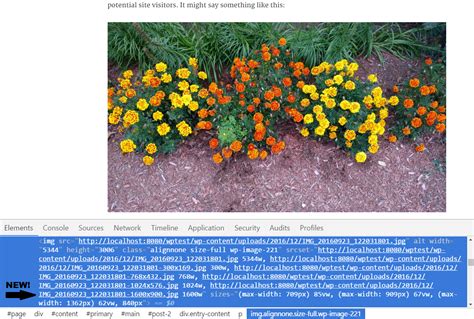 wordpress custom image sizes how to add and use them wpshout