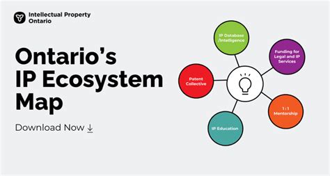 Intellectual Property Ip Assignment Agreement Sample Template