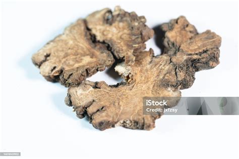 Chinese Medicine Rhizoma Ligustici Wallichii On White Background Stock