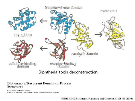 Diphtheria Toxin Deconstruction Motivos Mdulos Simples De Combinaciones