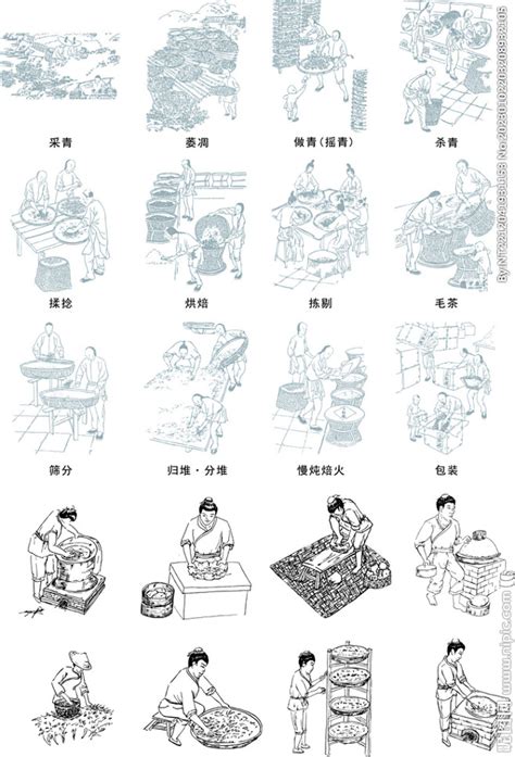 制茶流程