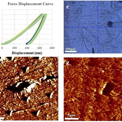 Nanoindentation Of Case Sample A D And Control Sample E H A