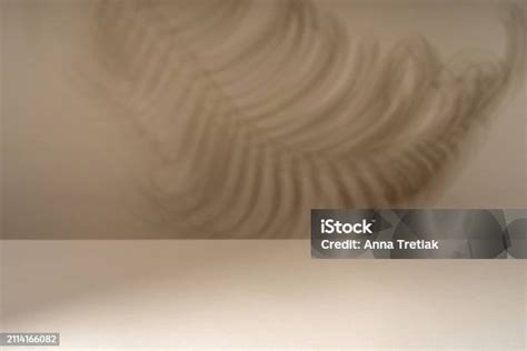 제품 프레젠테이션을 위한 열대 잎 그림자 빈 배경 구성입니다 배경은 베이지색입니다 아름 다운 유행 색상 배경입니다 가을 단풍에