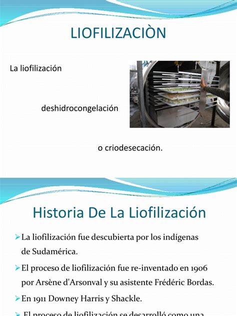 Proceso De Liofilización Y Sus Etapas Pdf