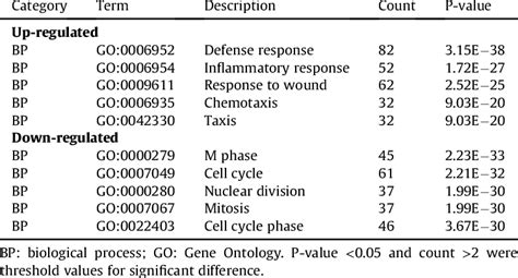 Of Gene Ontology Functional Enrichment Analysis Of Differently