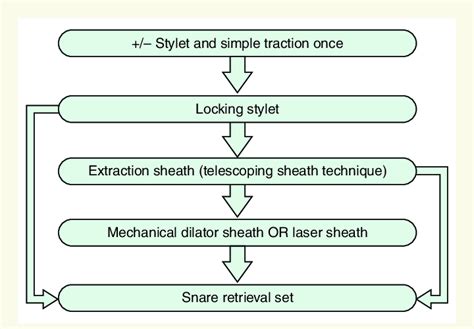 Schematic Illustration Of The Staged Extraction Approach Used In Our Download Scientific