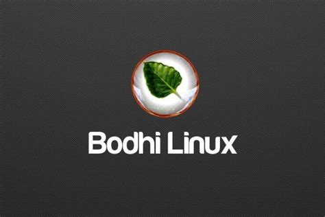Disponible Bodhi Linux MuyLinux