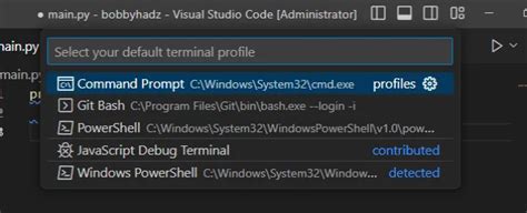 How To Change The Default Terminal In Visual Studio Code Bobbyhadz