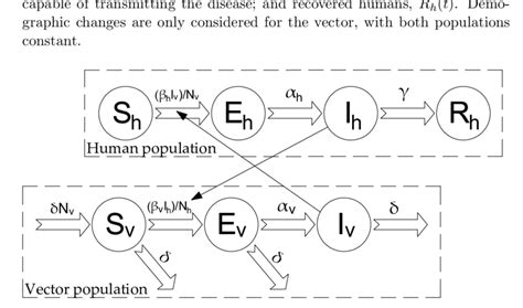 Diagram Of The Seir Sei System Dynamics Download Scientific Diagram