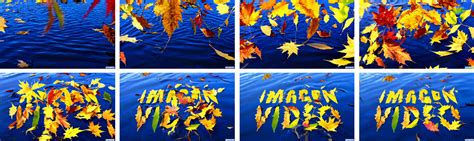 PDF Imagen Video High Definition Video Generation With Diffusion Models Semantic Scholar
