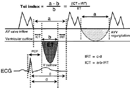 E Tei Index Calculation Download Scientific Diagram