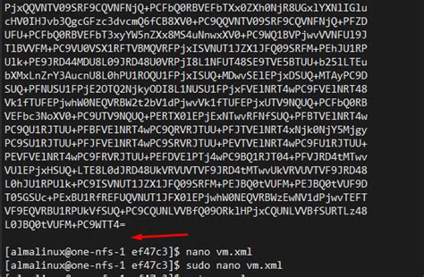 Error Restoring Virtual Machine Template Rsync Datastore Storage