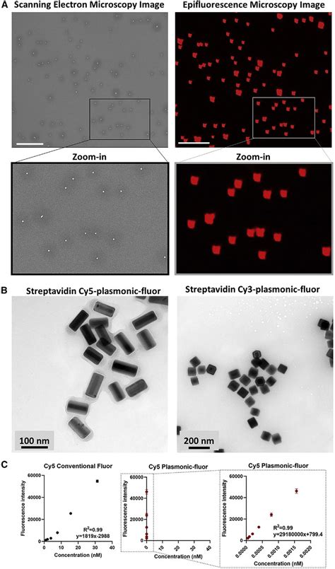 Plasmonic Fluor Brightness And Single Particle Imaging A Scanning