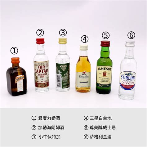 进口小酒版便利店调酒套装组合小瓶洋酒野格威士忌百利甜长岛冰茶 虎窝淘