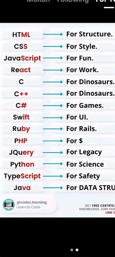 Programming Language Muhammad Khalil