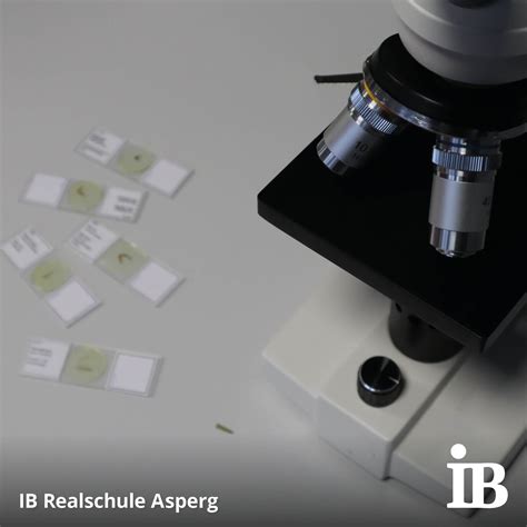 R Ckblick Tag Der Offenen T R Ib Schulen