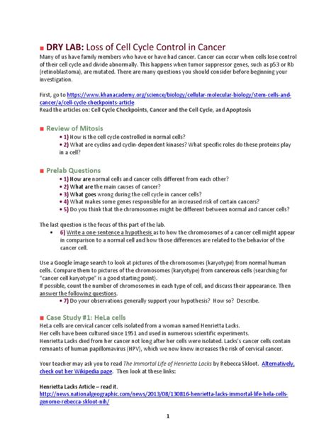 Cell Cycle Lab Hela And Cancer Pdf Cell Cycle He La
